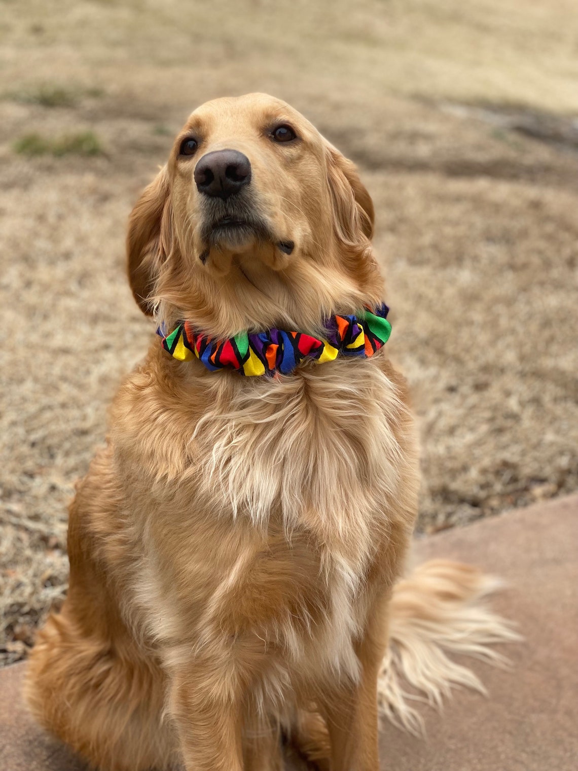 Dog Neck Scrunchie, Paw Print, Neck Ruffle Collar, Ruffle Collar, Fits ...