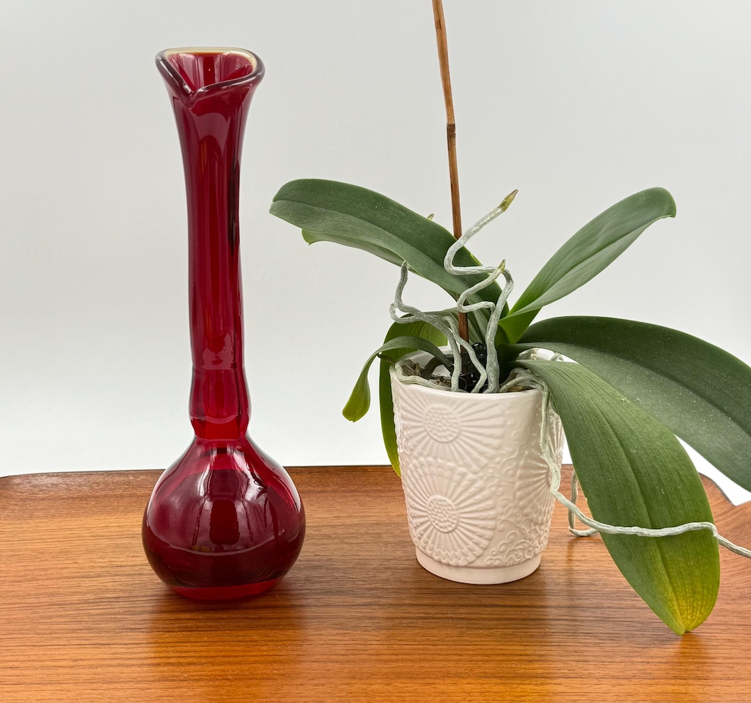 Mid Century Viking Red Glass Vase, Hand Blown Jack in the Pulpit or ...