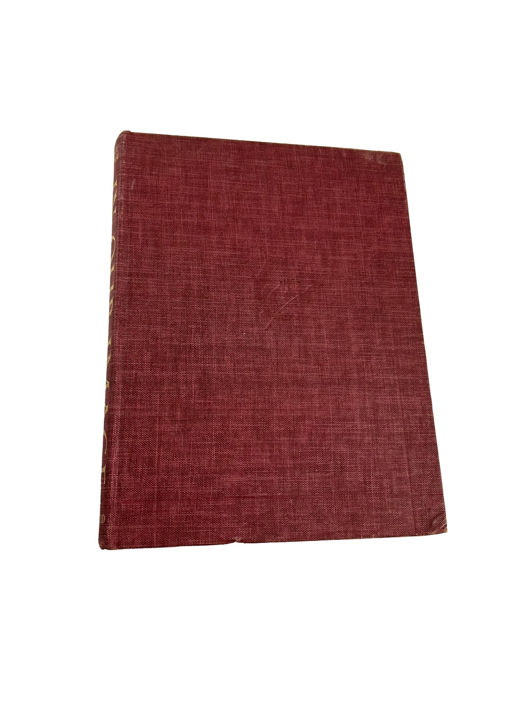 Vintage 1949 in Our Image Character Studies From the Old Testament Guy ...