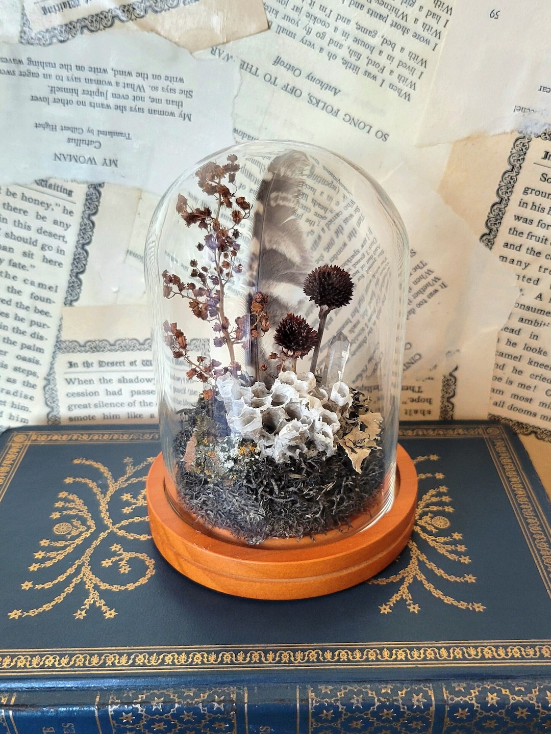 Glass Cloche Terrarium With Dried Plants Bird's Feather - Etsy