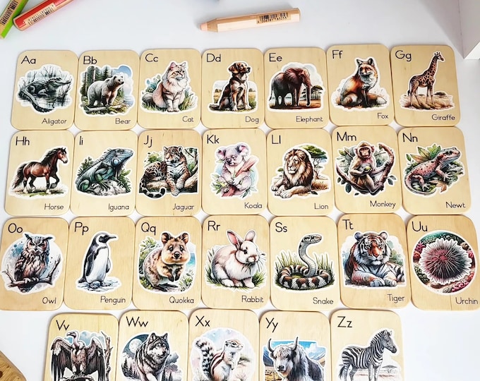 Wood Alphabet Discs / Uppercase Alphabet / Alphabet Flash Cards ...