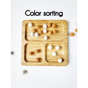 Montessori Sorting Tray Number Letters Cards Color Sorting Composition ...