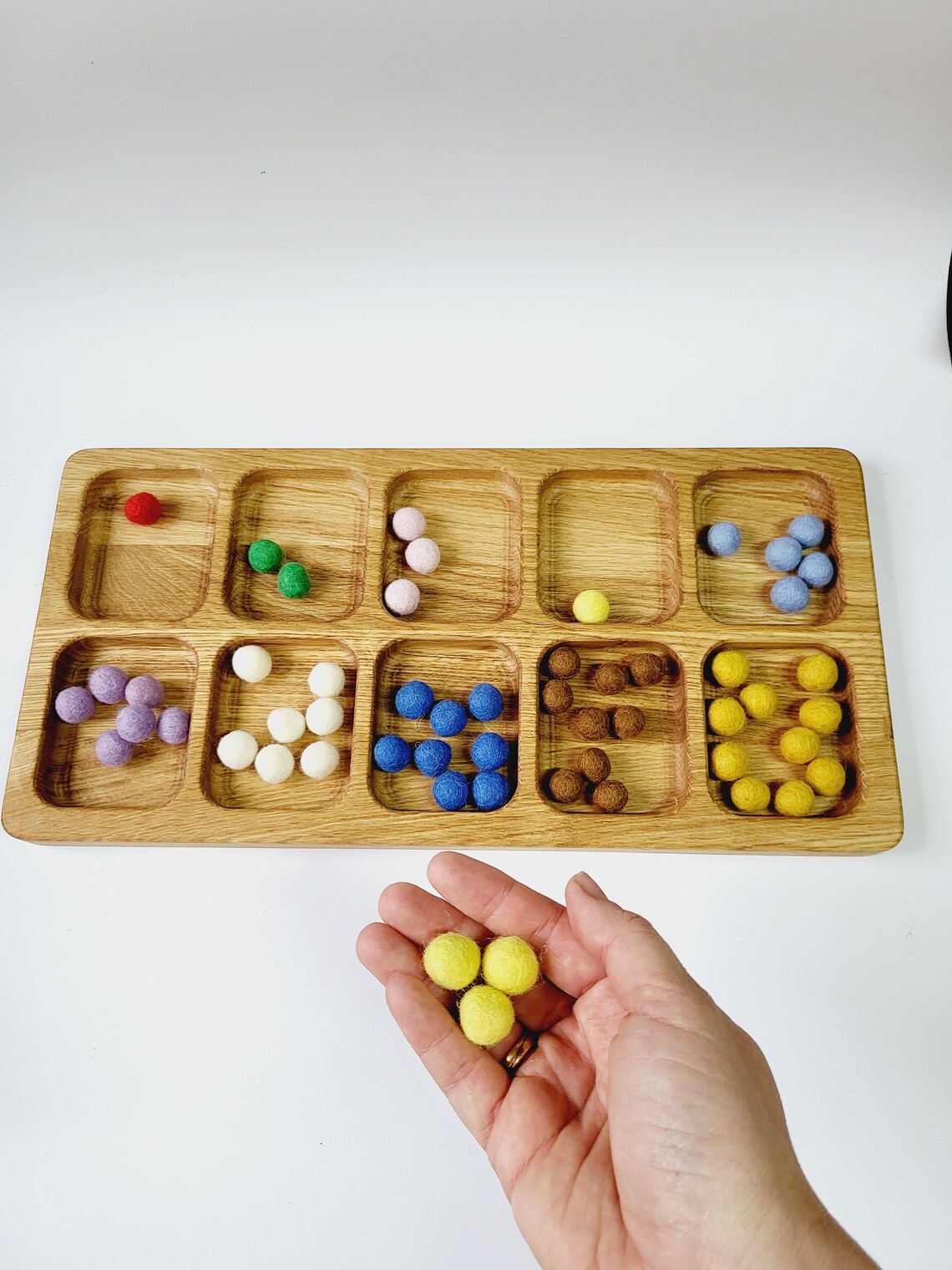 Montessori Sorting Tray Educational Materials Learning Homeschool ...