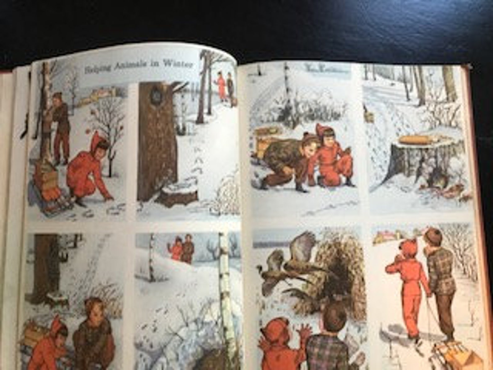 1940s Kid's Science Textbook. How Do We Know? Possible First Edition ...