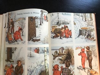 1940s Kid's Science Textbook. How Do We Know? Possible First Edition ...