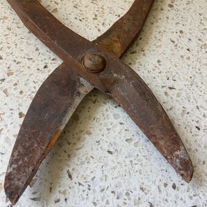 13 Inch Farm Shears. Distressed Farm Scissors. Aged Shears, Clippers ...