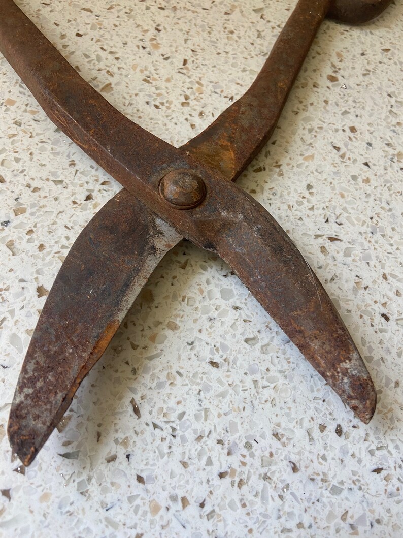 13 Inch Farm Shears. Distressed Farm Scissors. Aged Shears, Clippers ...