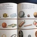 1940s Kid's Science Textbook. How Do We Know? Possible First Edition ...