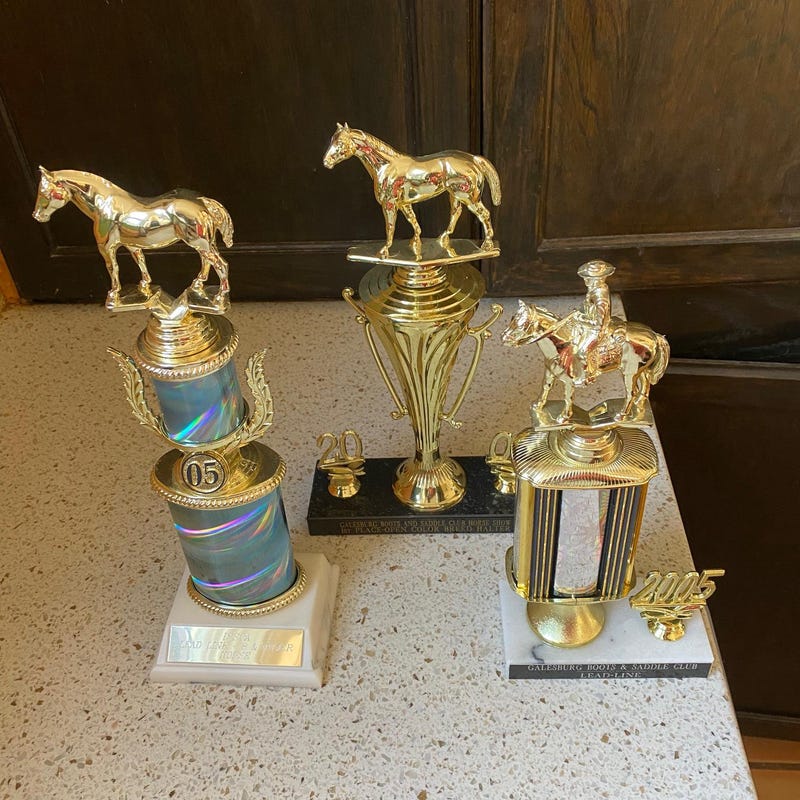 Horse Trophy - Etsy