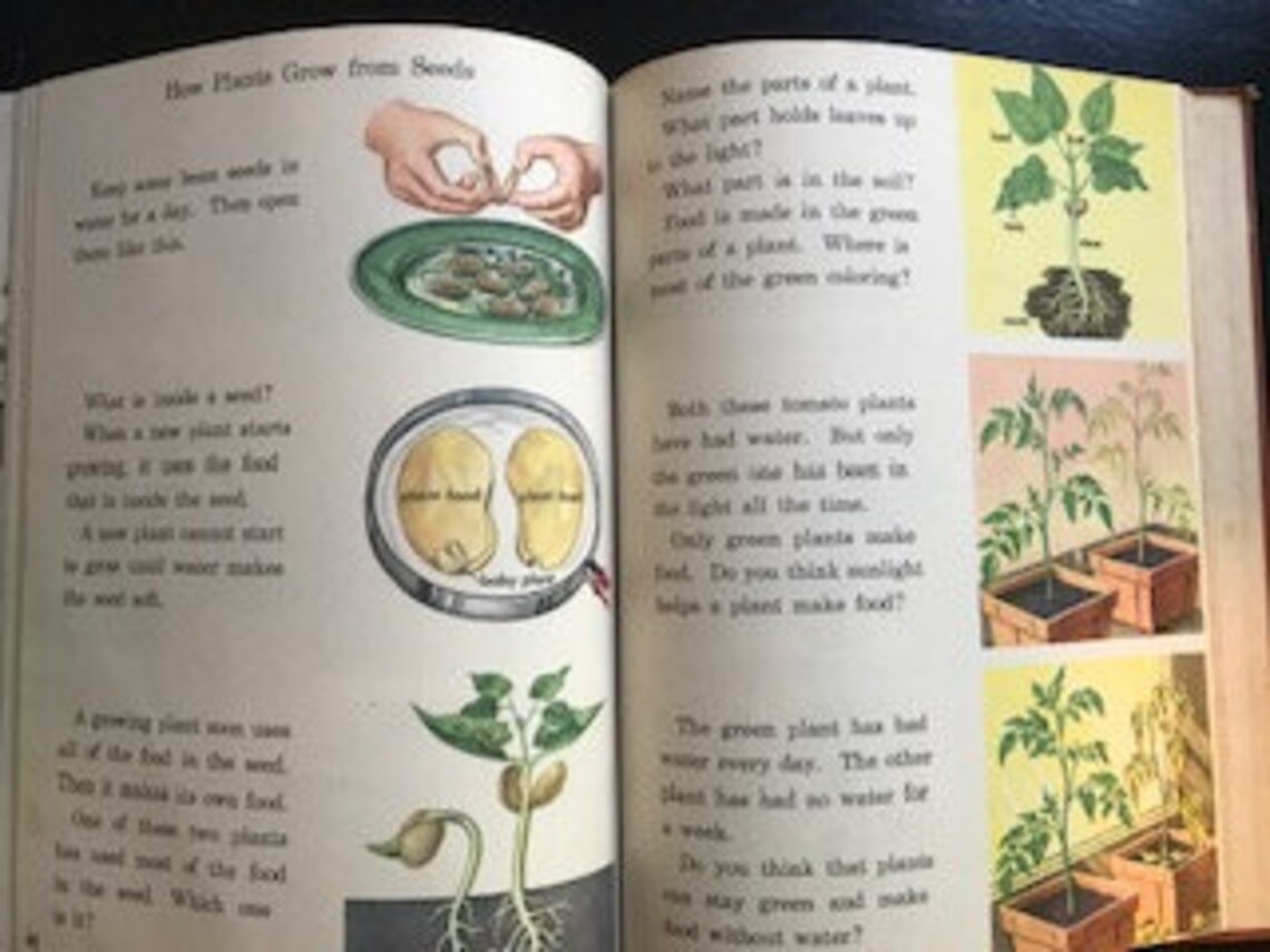 1940s Kid's Science Textbook. How Do We Know? Possible First Edition ...