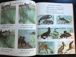 1940s Kid's Science Textbook. How Do We Know? Possible First Edition ...