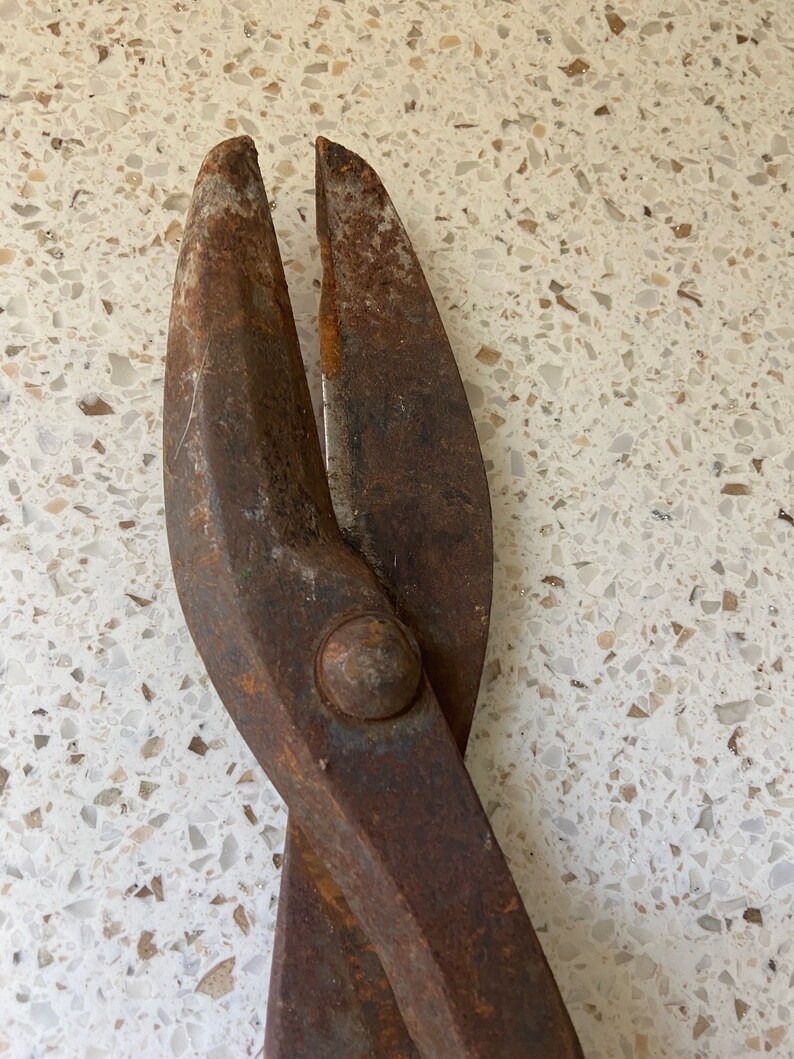 13 Inch Farm Shears. Distressed Farm Scissors. Aged Shears, Clippers ...