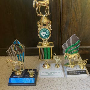 Horse Trophy. Equestrian Retro Trophy. Vintage Worn Trophy. Trophy ...