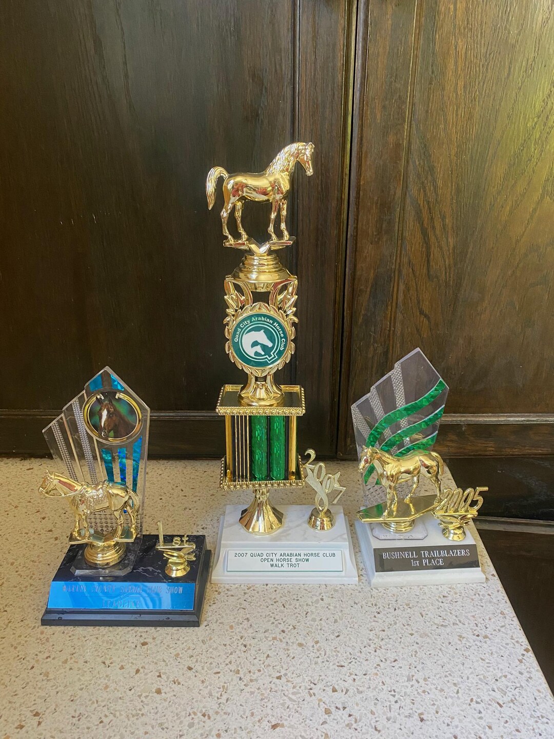 Horse Trophy. Equestrian Retro Trophy. Vintage Worn Trophy. Trophy ...