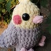 PATTERN/INSTRUCTIONS Cockatiel Bird Pattern Charlie the - Etsy