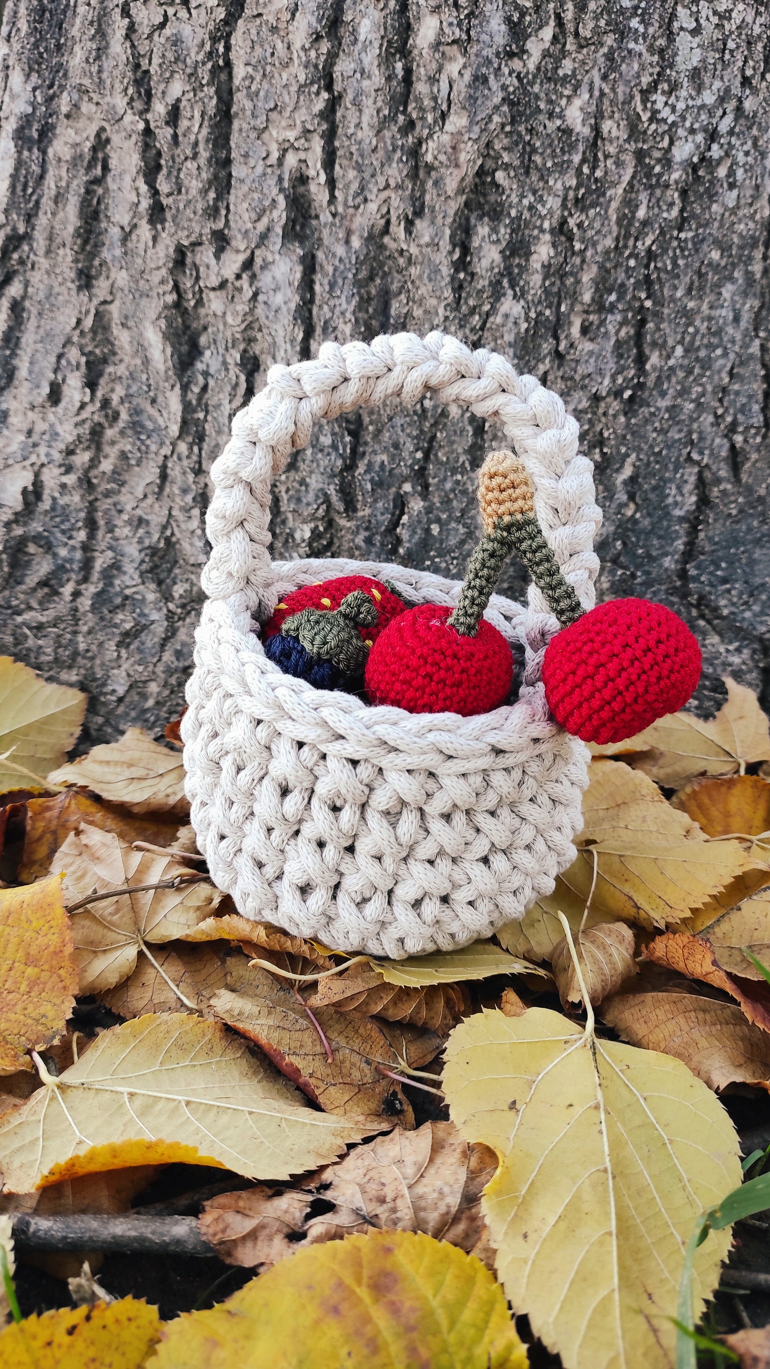 Crochet Berry Set Crochet Strawberries Blackberries and - Etsy