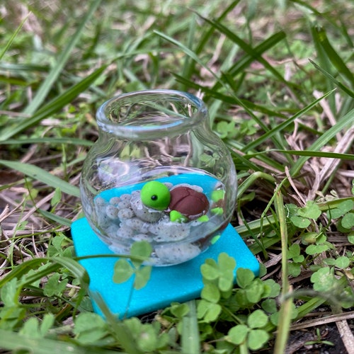 Mini Turtle Tank Polymer Clay Turtle Turtle Fish Bowl - Etsy