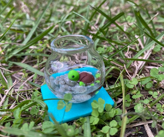 Mini Turtle Tank Polymer Clay Turtle Turtle Fish Bowl | Etsy