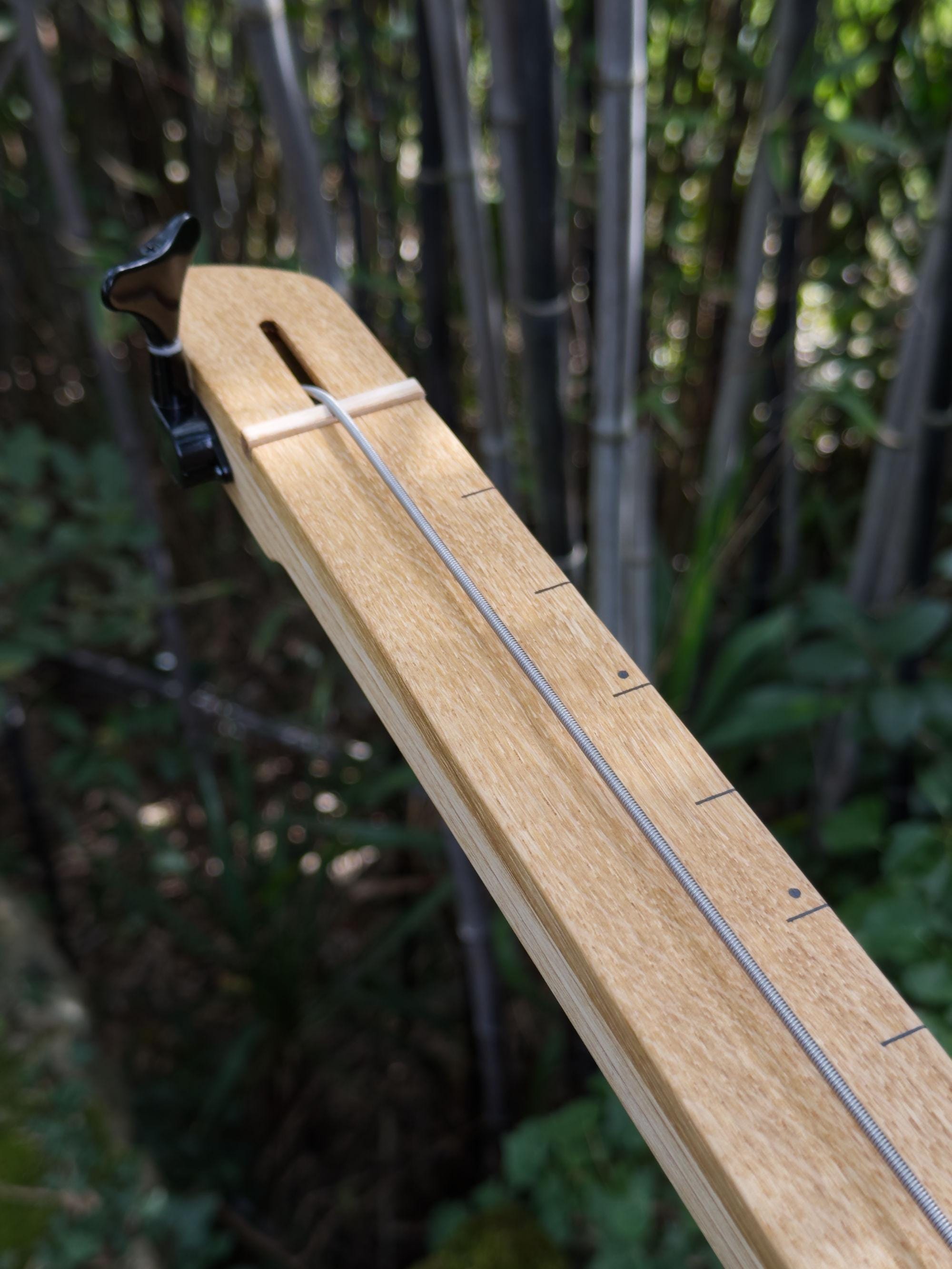 Bass Diddley Bow - Etsy