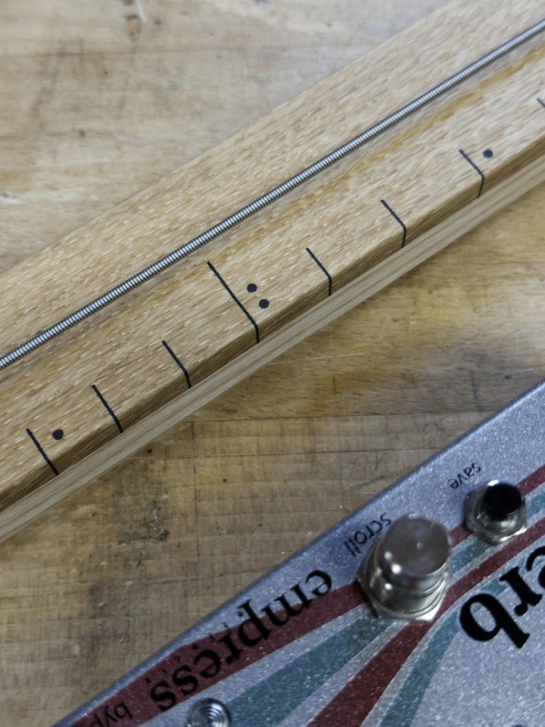 Bass Diddley Bow - Etsy