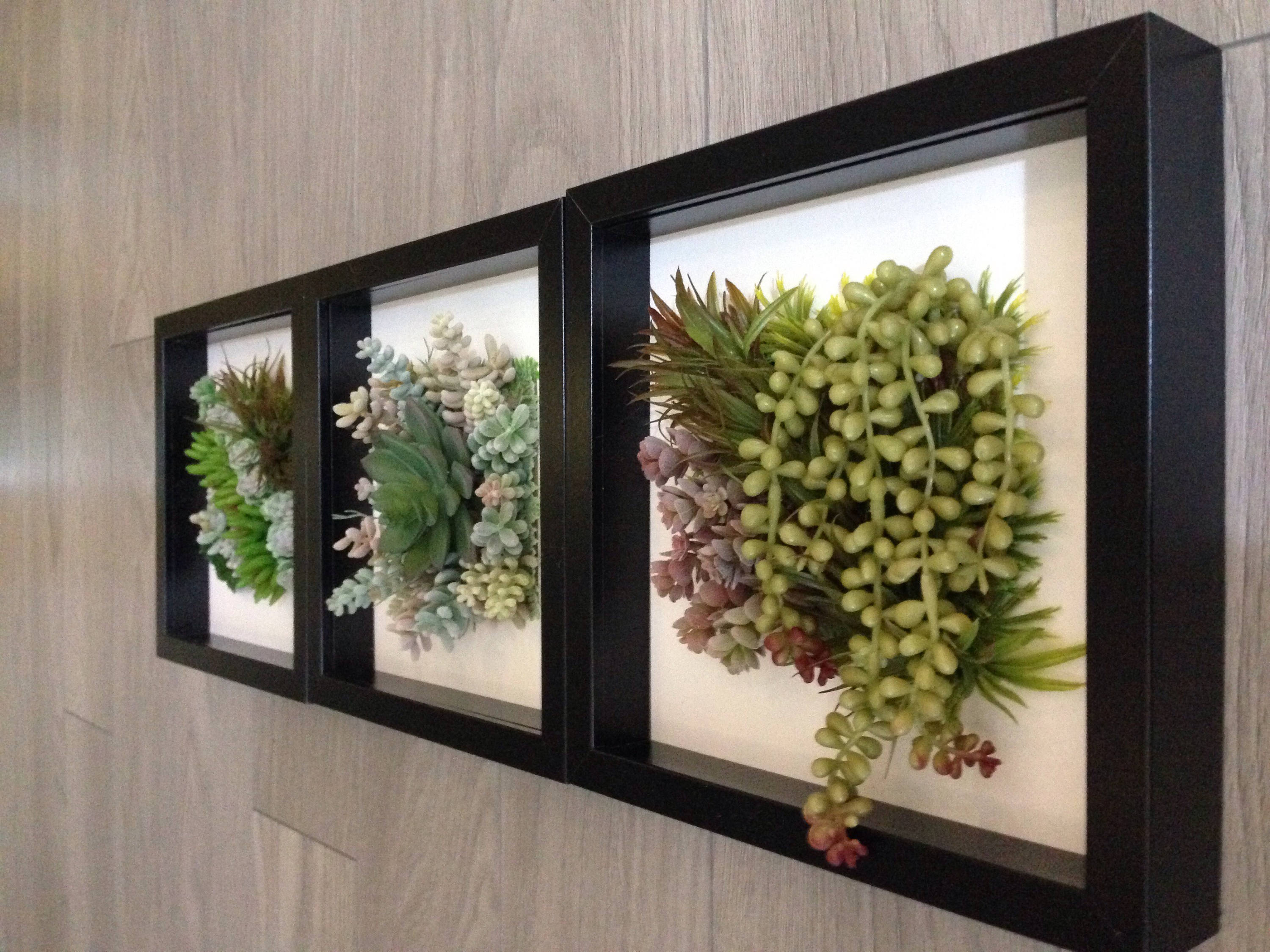 Succulent wall arrangement succulent wall decor. | Etsy