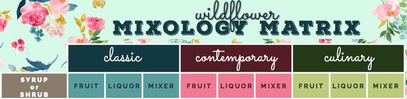 Mixology Matrix (shrub Recipe Ebook - Homemade Cocktails) - Etsy
