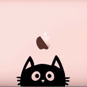 Cat Decal/cat Sticker/computer Decal/laptop Stickers /laptop | Etsy