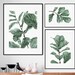 FIDDLE LEAF FIG Art Print Wall Set of 3 Piece Printable Tree - Etsy