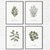 FIDDLE LEAF FIG Art Print Wall Set of 3 Piece Printable Tree Painting ...