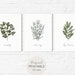 FIDDLE LEAF FIG Art Print Wall Set of 3 Piece Printable Tree Painting ...