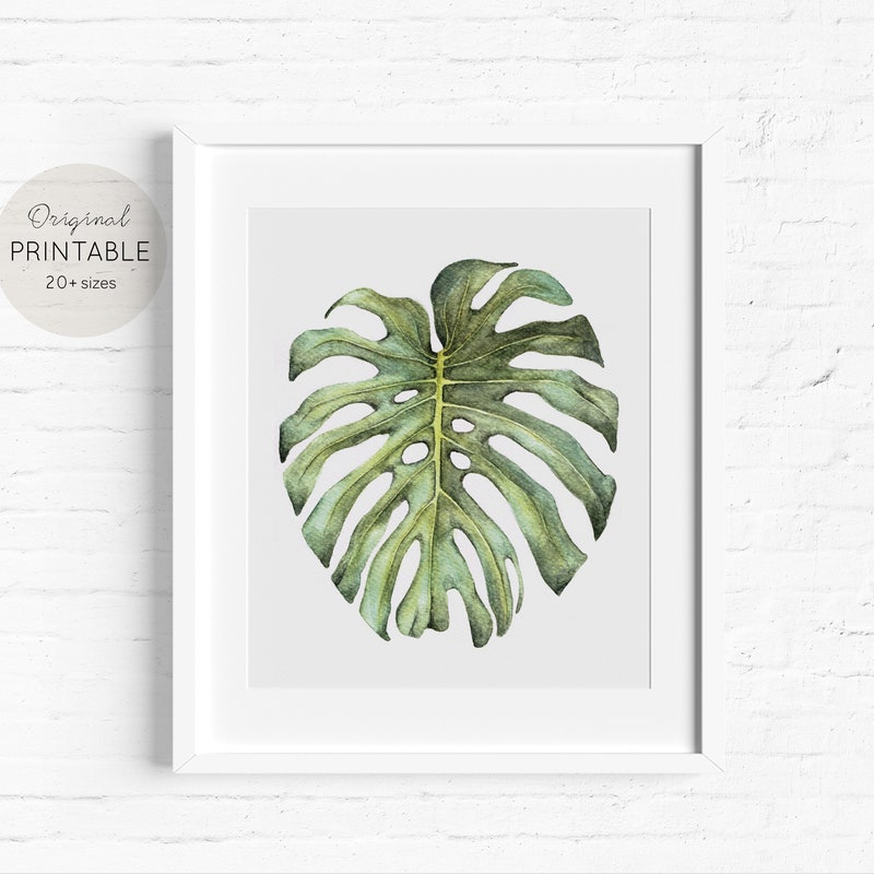 Monstera Print - Etsy