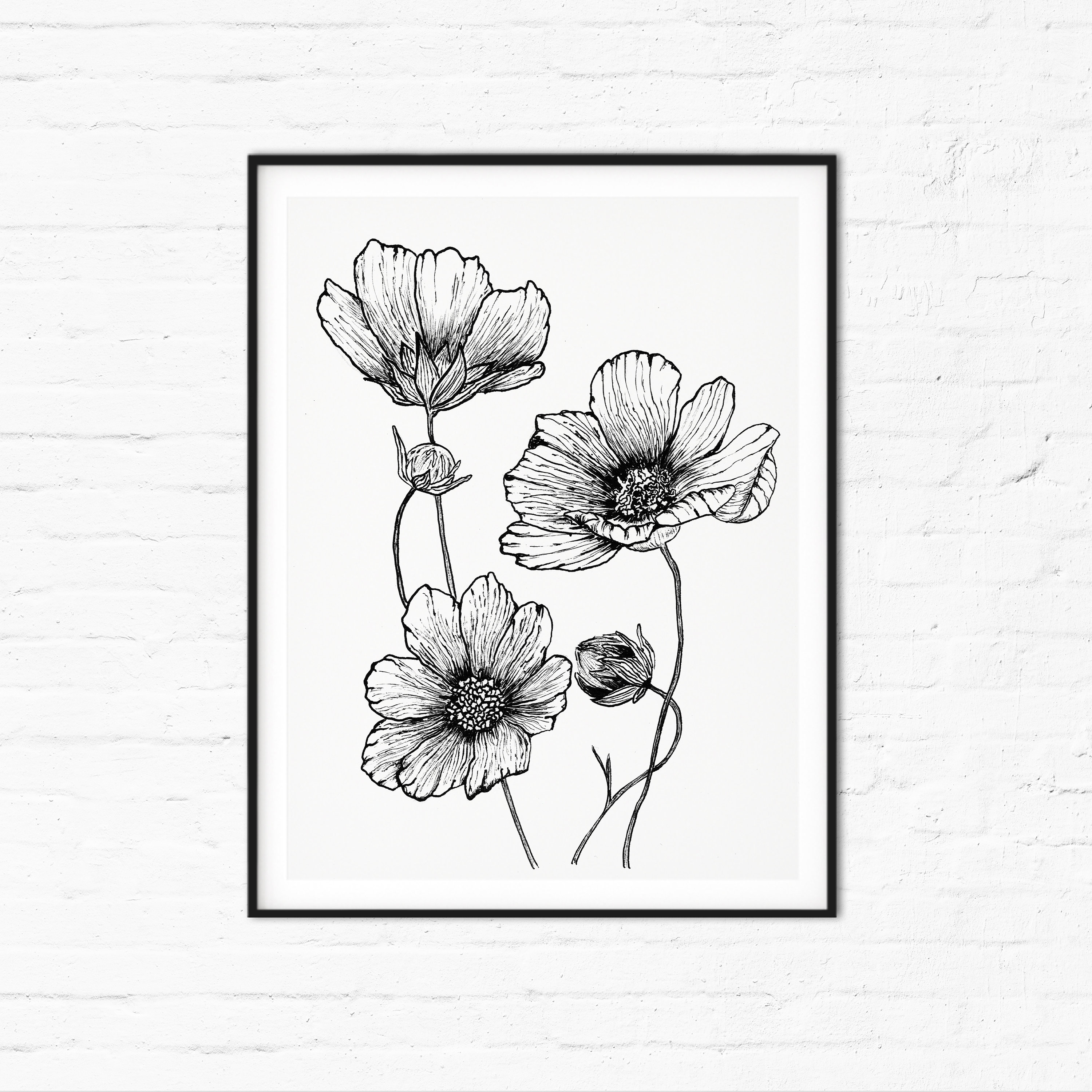How To Draw An Anemone