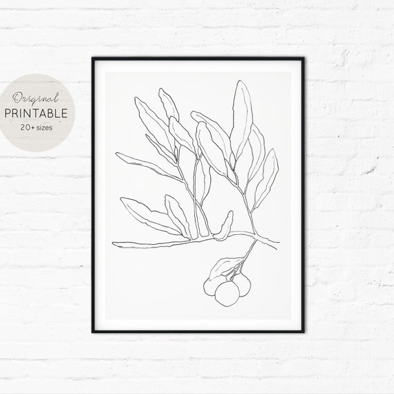 BOTANICAL LINE DRAWING Printable Wall Art Olive Tree | Etsy