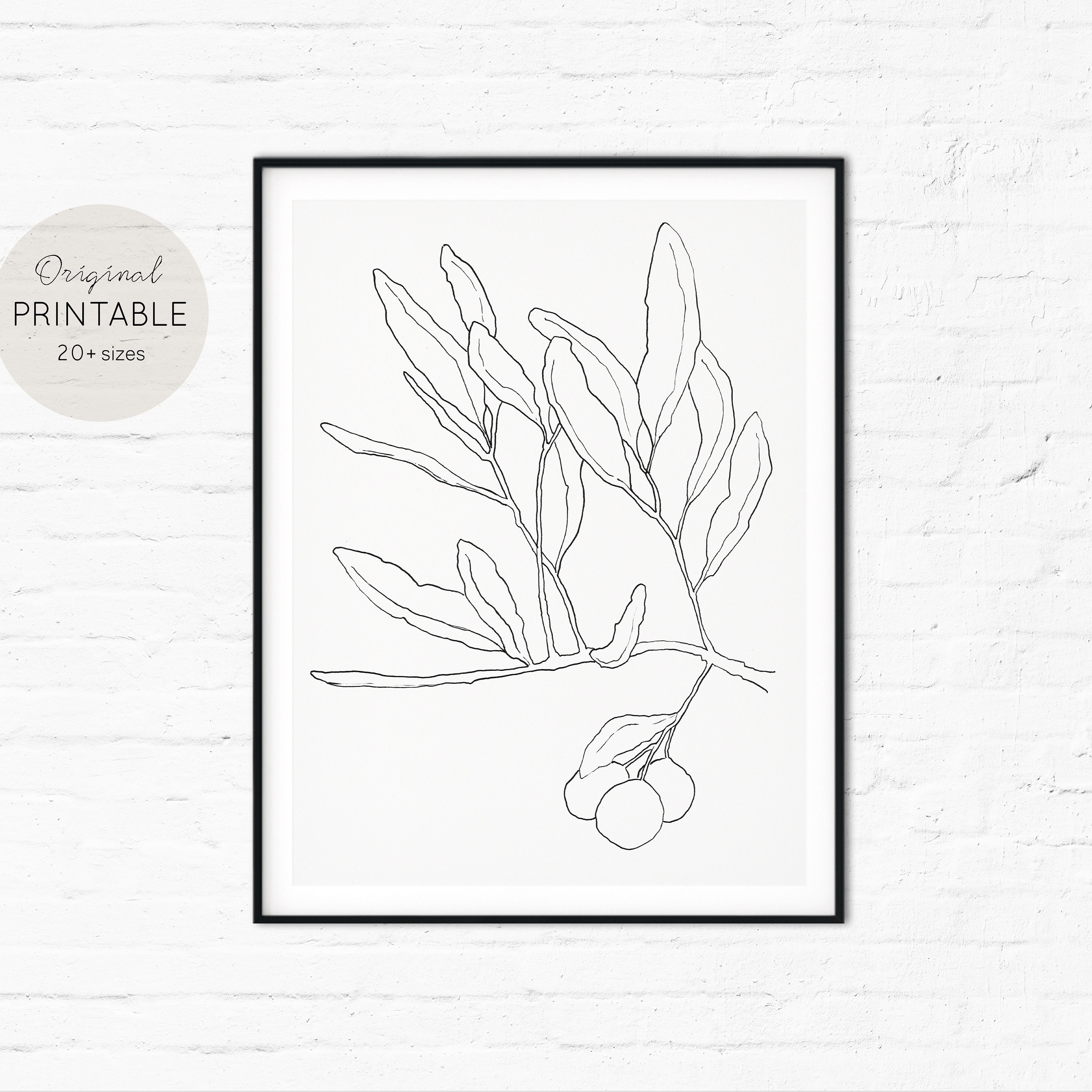 Olive Tree Drawing To Color