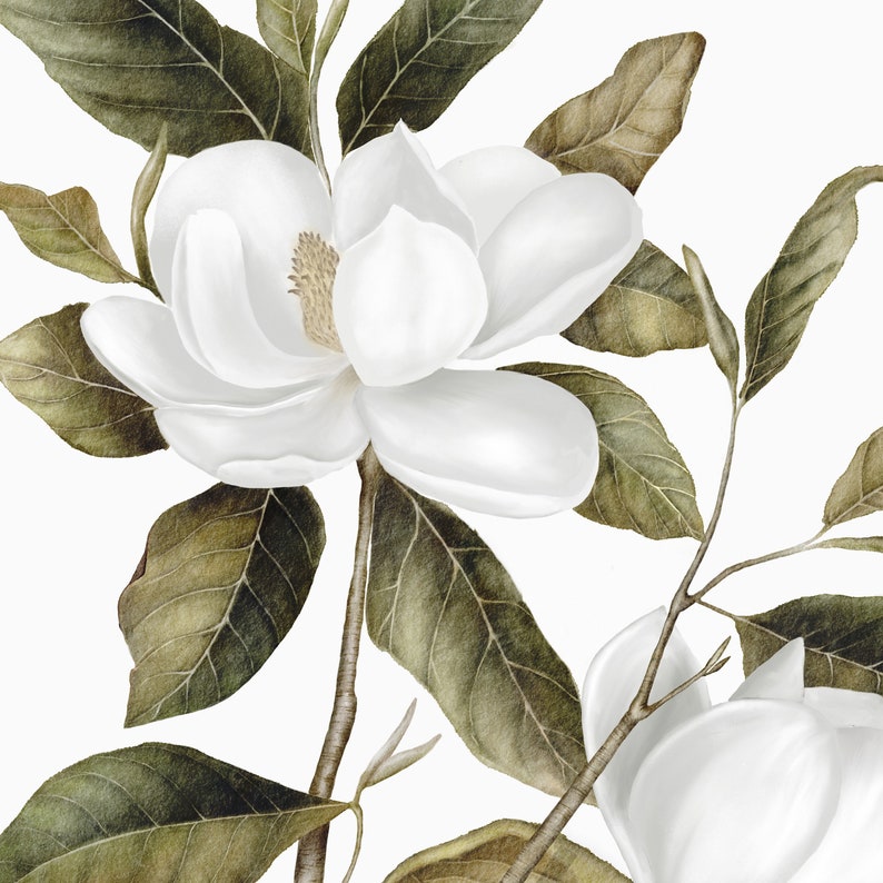 BOTANICAL PRINT, Magnolia Flower Art Prints, Floral Printable Wall Art ...