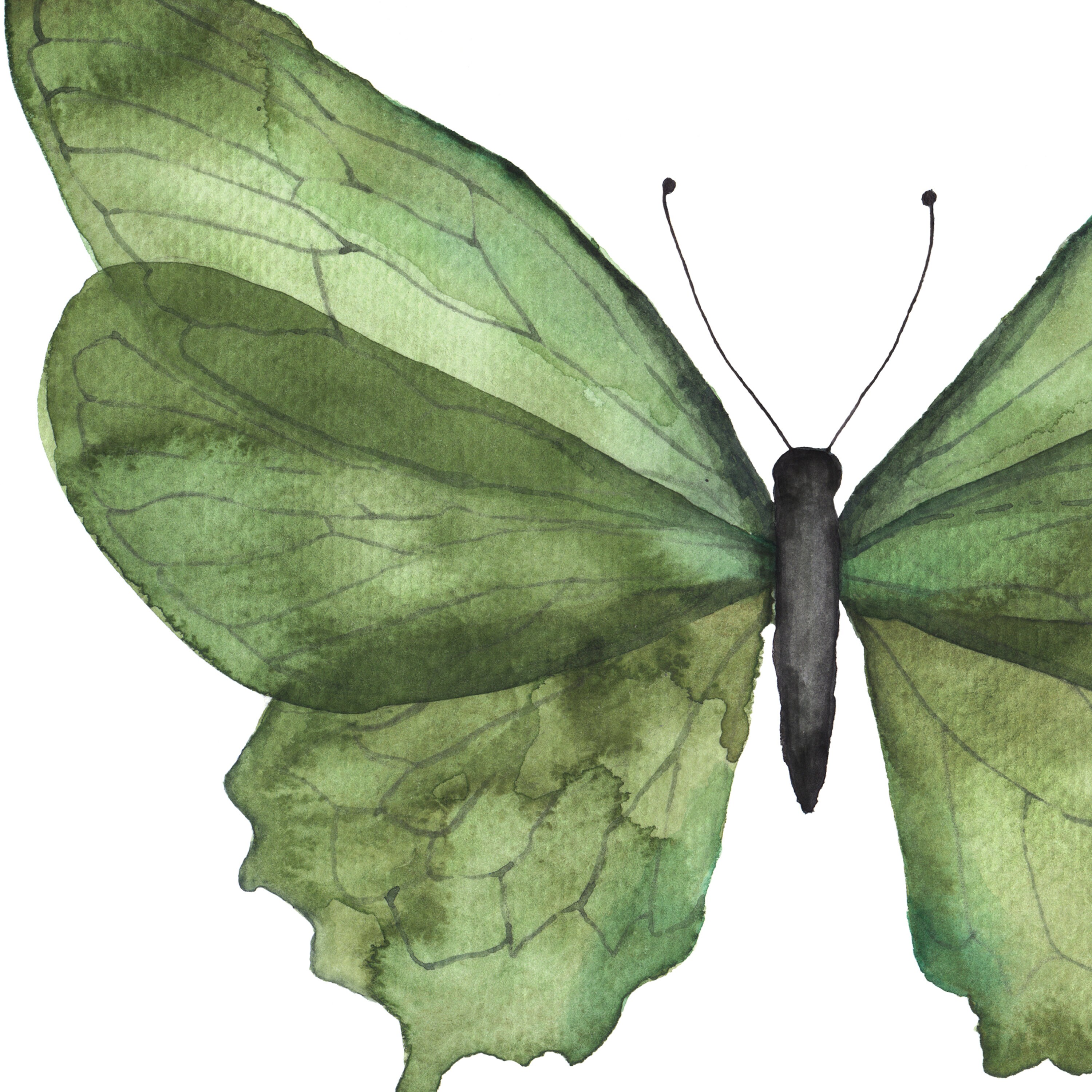 Butterfly green poster printable wall decor instant | Etsy