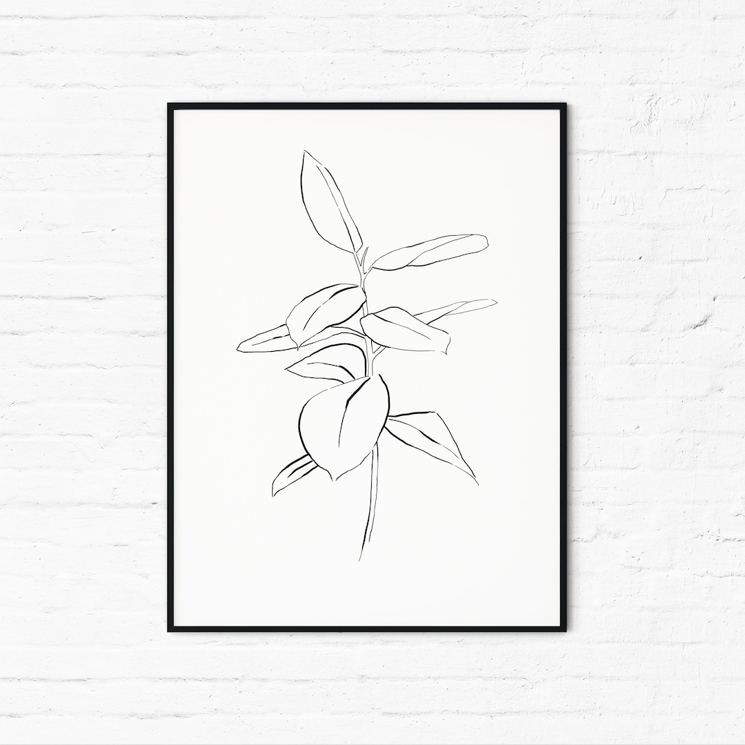 BOTANICAL LINE ART - Printable Ficus Elastica Ink Drawing, Black and ...