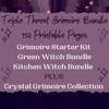 Complete Grimoire Page Bundle, Grimoire Pages, Grimoire Printables, Witch Printables, Book of ...