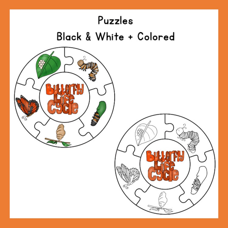 Butterfly Life Cycle Digital Download Products Teacher Resources - Etsy