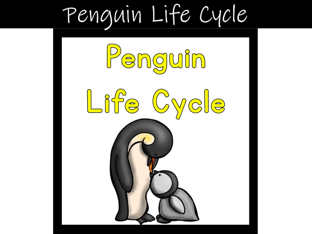 Penguin Life Cycle Digital Download Products Teacher Resources - Etsy