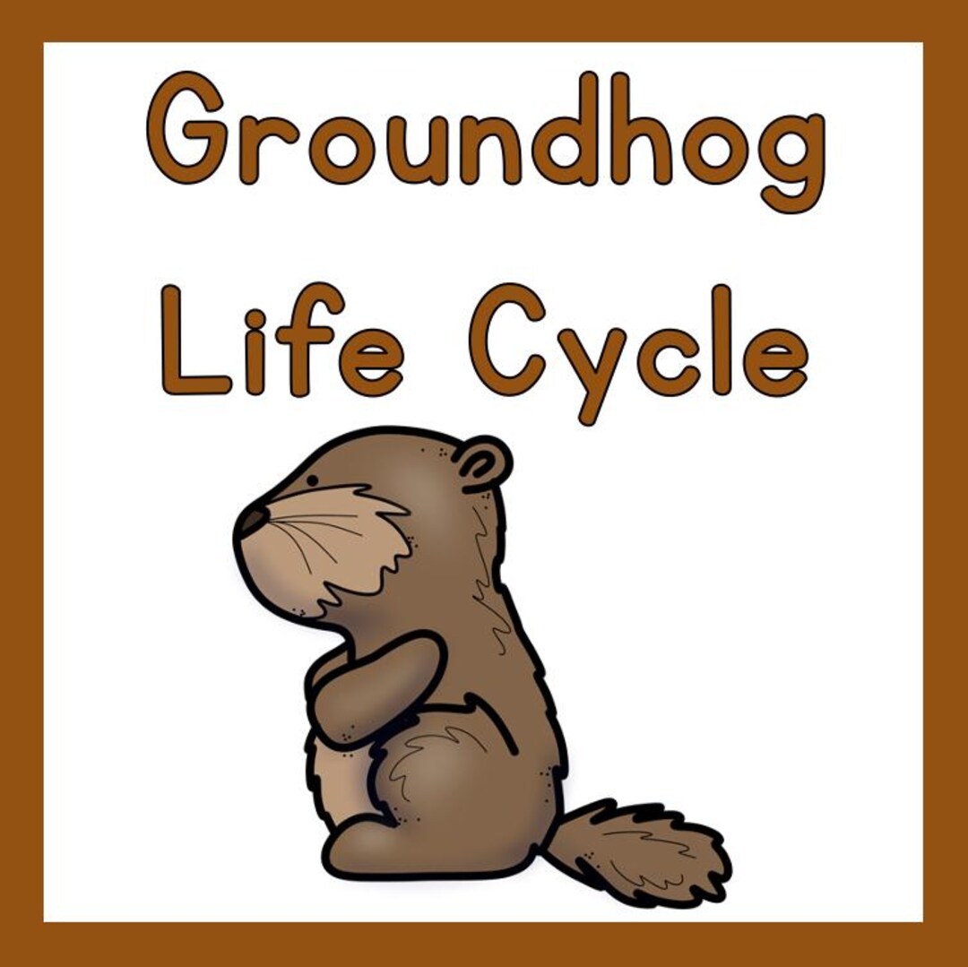Groundhog Life Cycle | Digital Download Products | Teacher Resources - Etsy