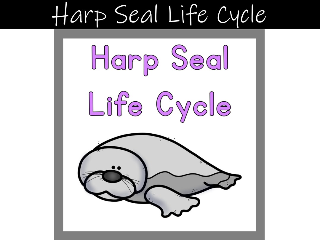 Harp Seal Life Cycle Digital Download Products Teacher Resources - Etsy