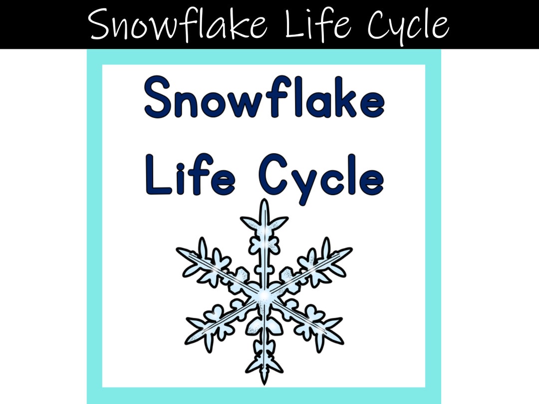 Snowflake Life Cycle Digital Download Products Teacher Resources - Etsy