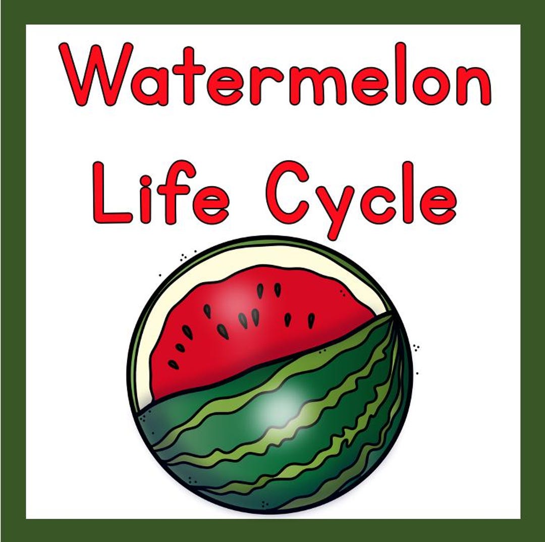 Watermelon Life Cycle | Digital Download Products | Teacher Resources ...