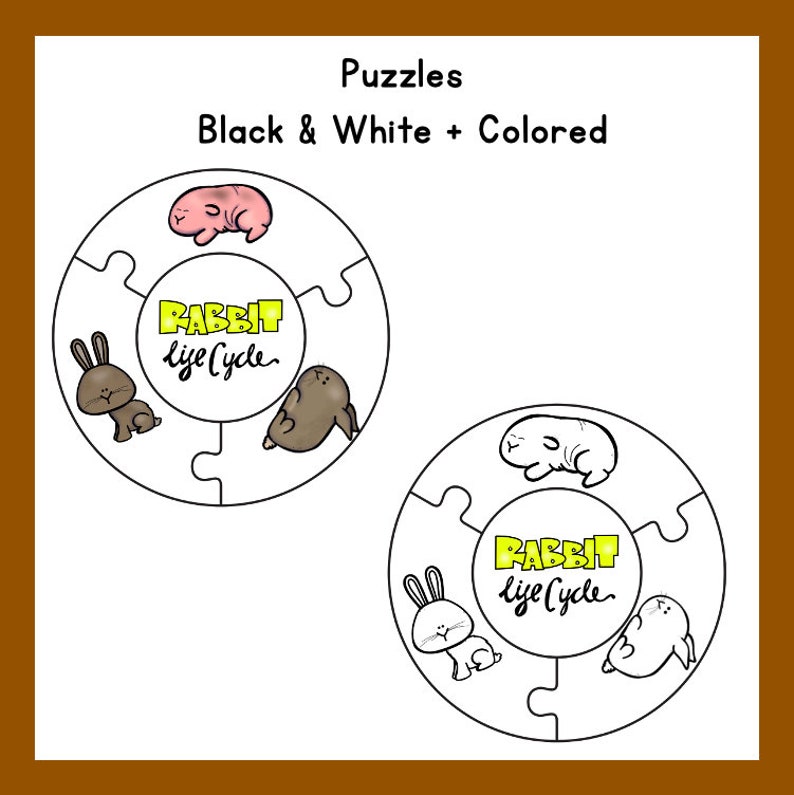 Rabbit Life Cycle Digital Download Products Teacher Resources - Etsy