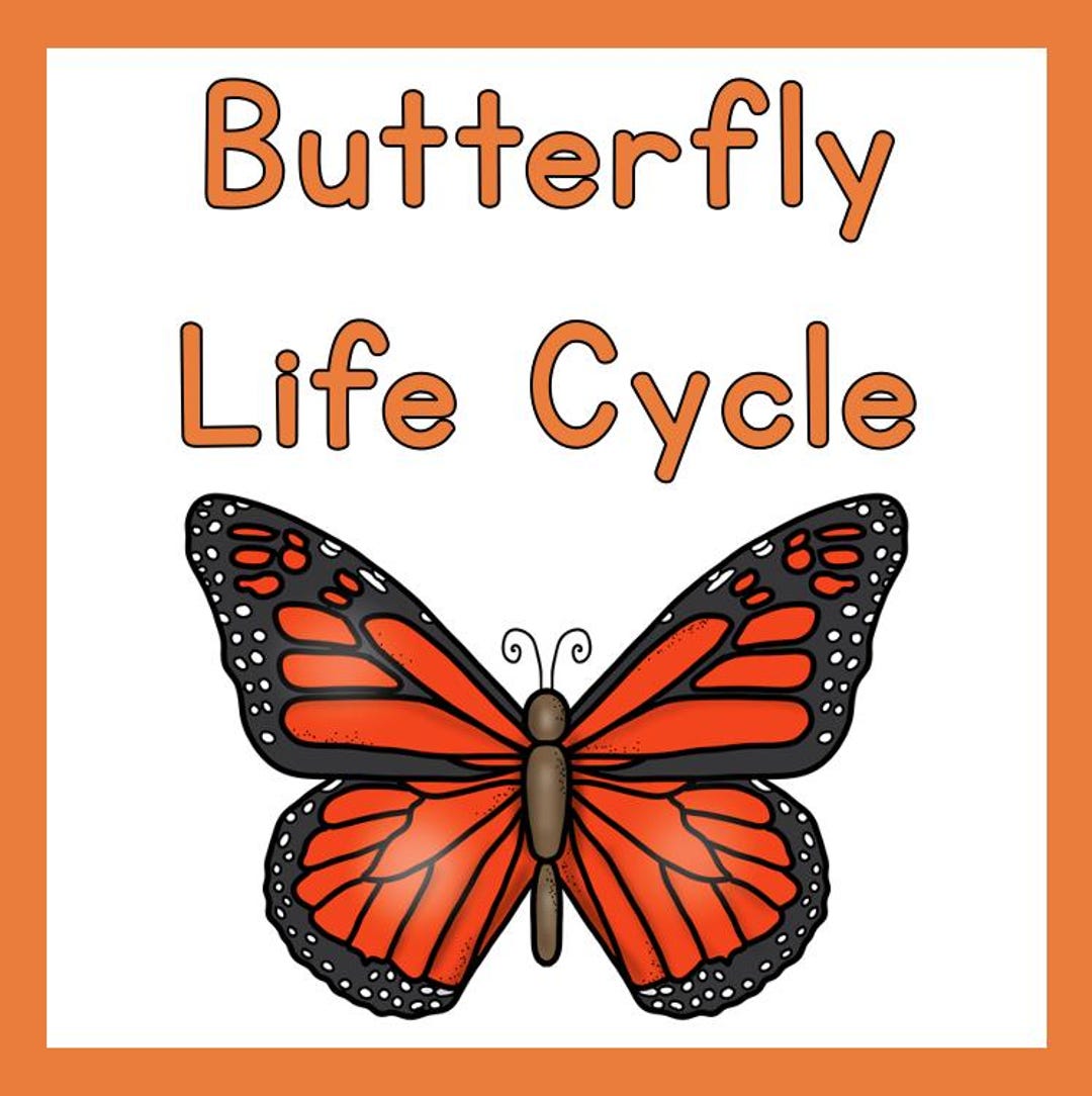 Butterfly Life Cycle | Digital Download Products | Teacher Resources - Etsy