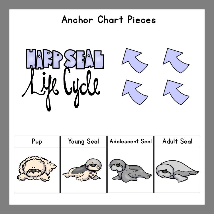 Harp Seal Life Cycle | Digital Download Products | Teacher Resources - Etsy