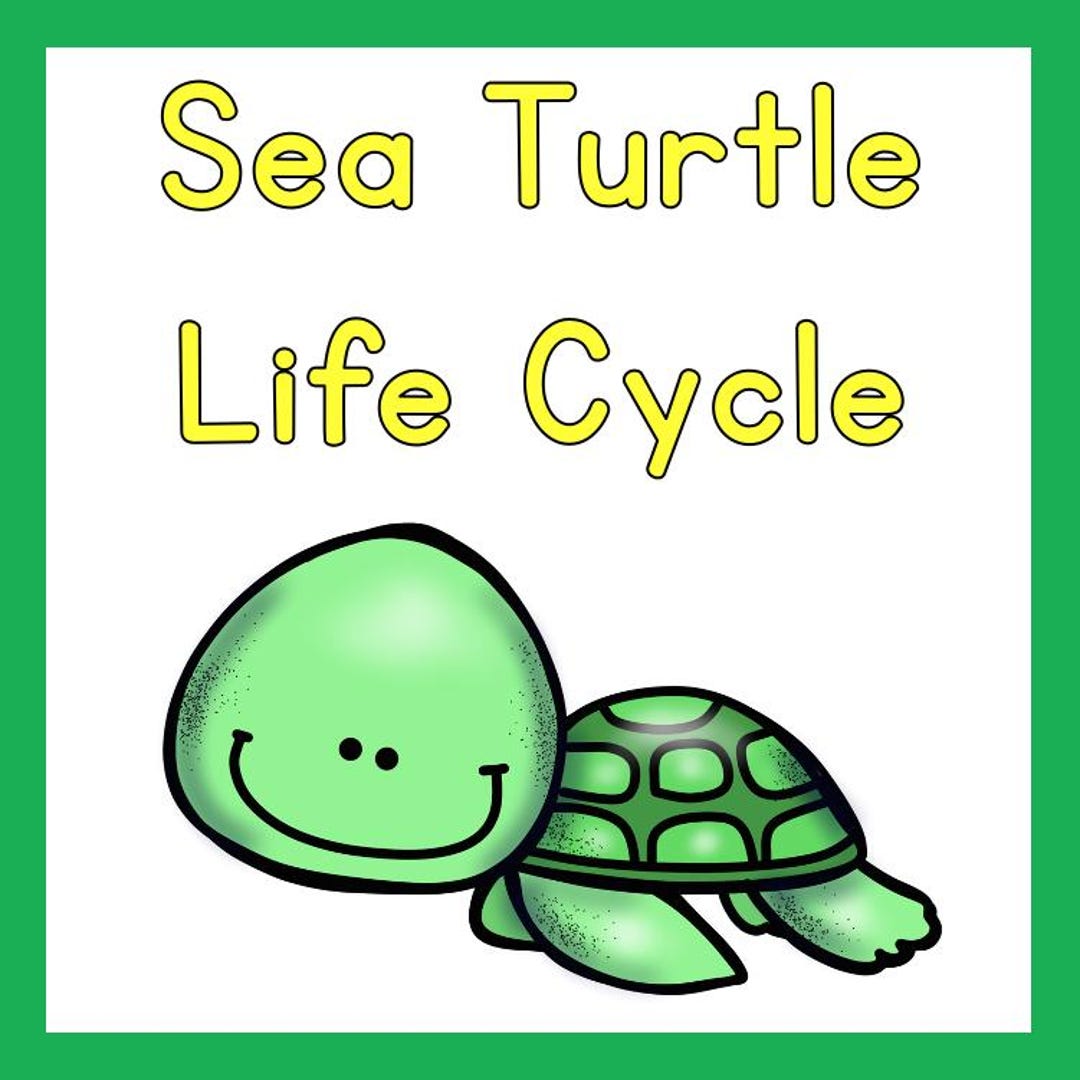 Sea Turtle Life Cycle | Digital Download Products | Teacher Resources ...