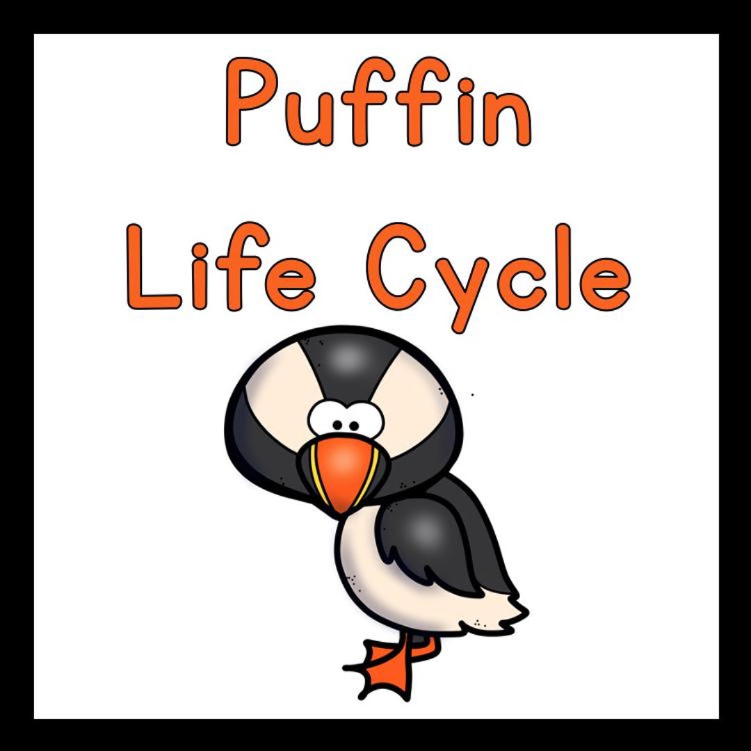 Puffin Life Cycle | Digital Download Products | Teacher Resources - Etsy