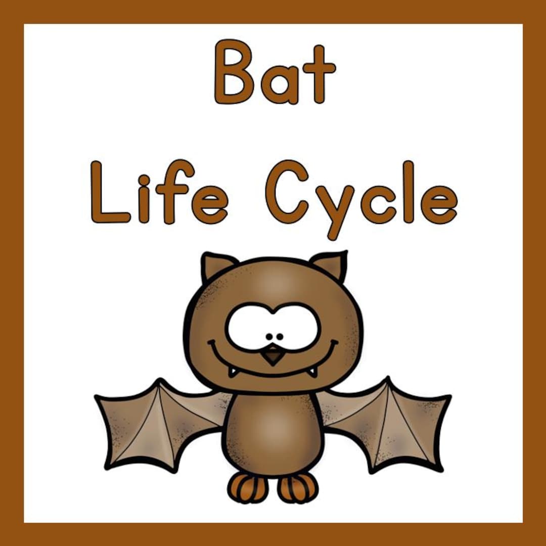 Bat Life Cycle | Digital Download Products | Teacher Resources - Etsy